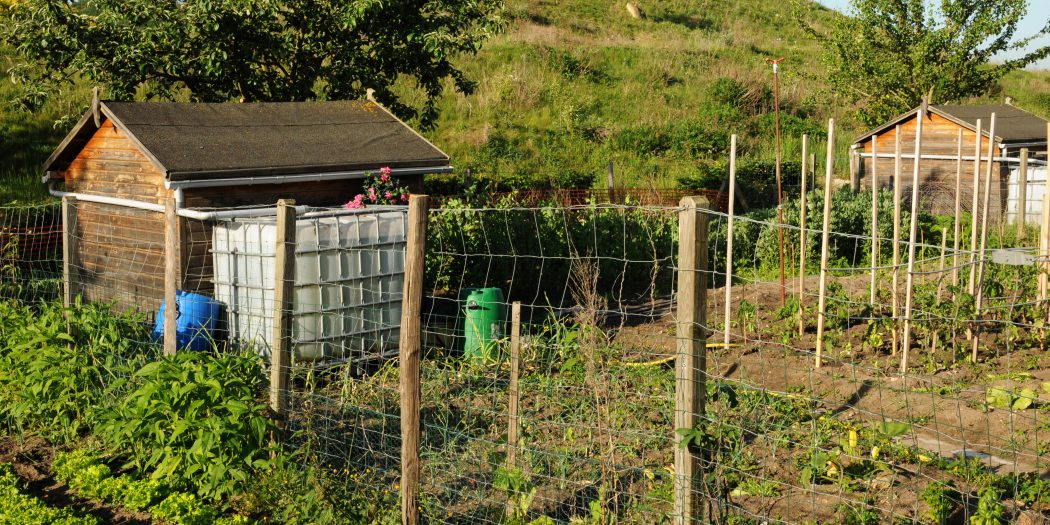 Kleine IBC Container - REKUBIK® Magazin