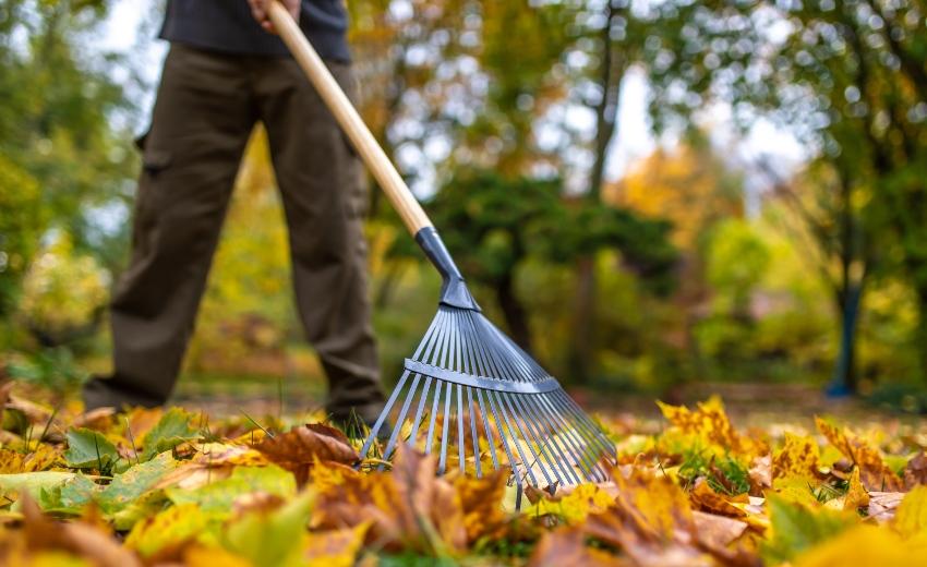Gartenarbeit im Herbst - REKUBIK® Magazin