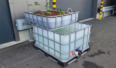 IBC Container mit 1000 Litern kaufen | REKUBIK GmbH